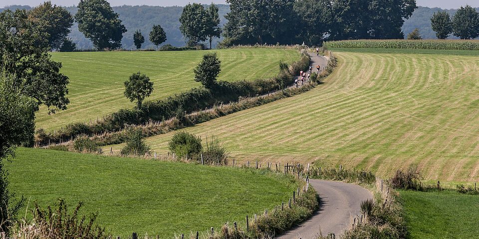 Routes | Limburg Cycling